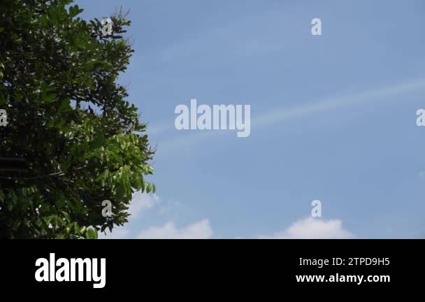 Sun curing Stock Videos & Footage - HD and 4K Video Clips - Alamy