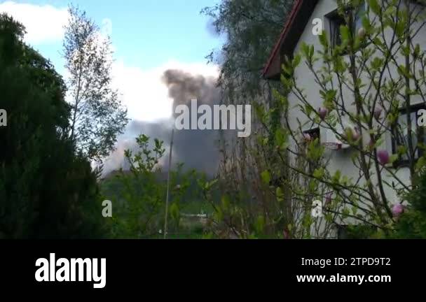 Ire tree Stock Videos & Footage - HD and 4K Video Clips - Alamy