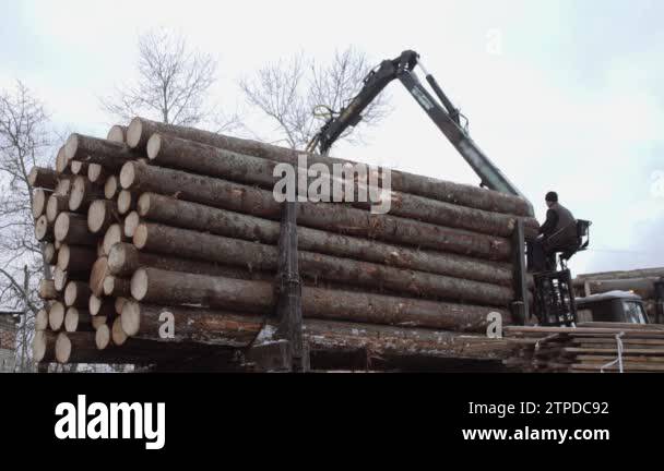 Lorry arm loader unloads wood logs from heavy truck at sawmill ...