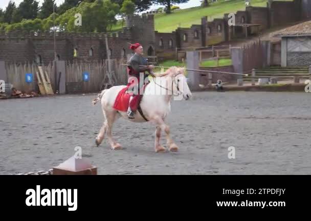 Medieval armor lance shield Stock Videos & Footage - HD and 4K Video ...