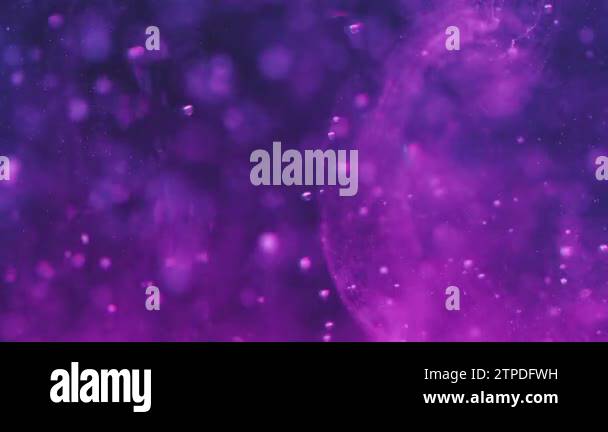 Deep purple spots Stock Videos & Footage - HD and 4K Video Clips - Alamy