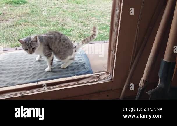 Village threshold Stock Videos & Footage - HD and 4K Video Clips - Alamy