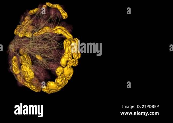 Adipose Tissue. The female breast is mostly made up of a collection of ...