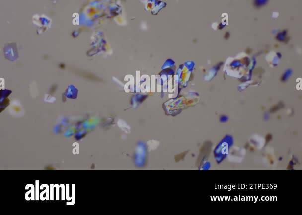 Mineral structure under microscope Stock Videos & Footage - HD and 4K ...