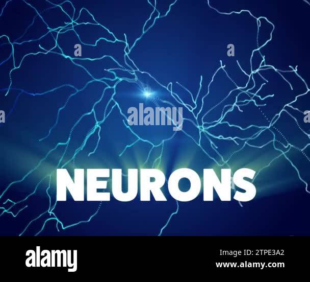 Neural network circuit of neurons Stock Videos & Footage - HD and 4K ...