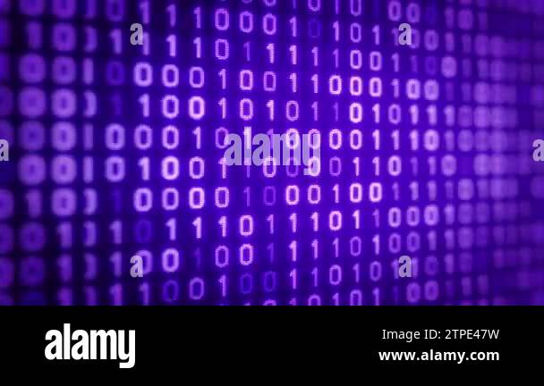 Technology purple background with binary code moves from left to right ...