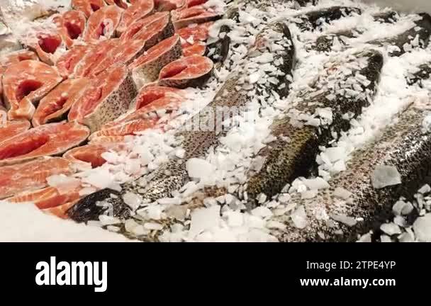 Counter with fresh chilled sea fish and seafood lying on ice in the ...