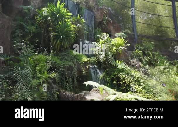 Large bird aviary Stock Videos & Footage - HD and 4K Video Clips - Alamy