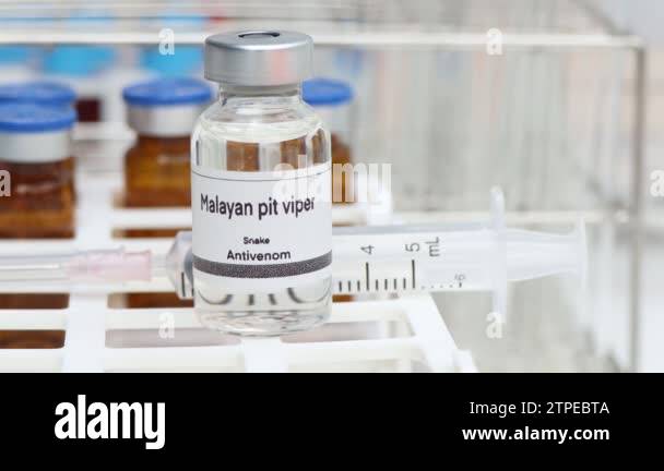 Malayan pit viper, Snake antivenoms in a vial, Serum for injection to ...
