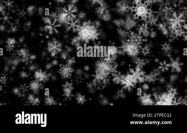 Pretty Snow 4 // 4k Black BG Winter Video Background Loop. A variant of ...