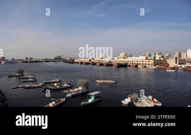 New fish market Stock Videos & Footage - HD and 4K Video Clips - Alamy