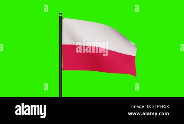 3D Rendered Poland National Flag Waving Animation with Realistic Wind ...