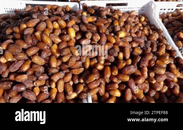 Fresh harvested Moroccan dates. Traditional souk, dates market in ...