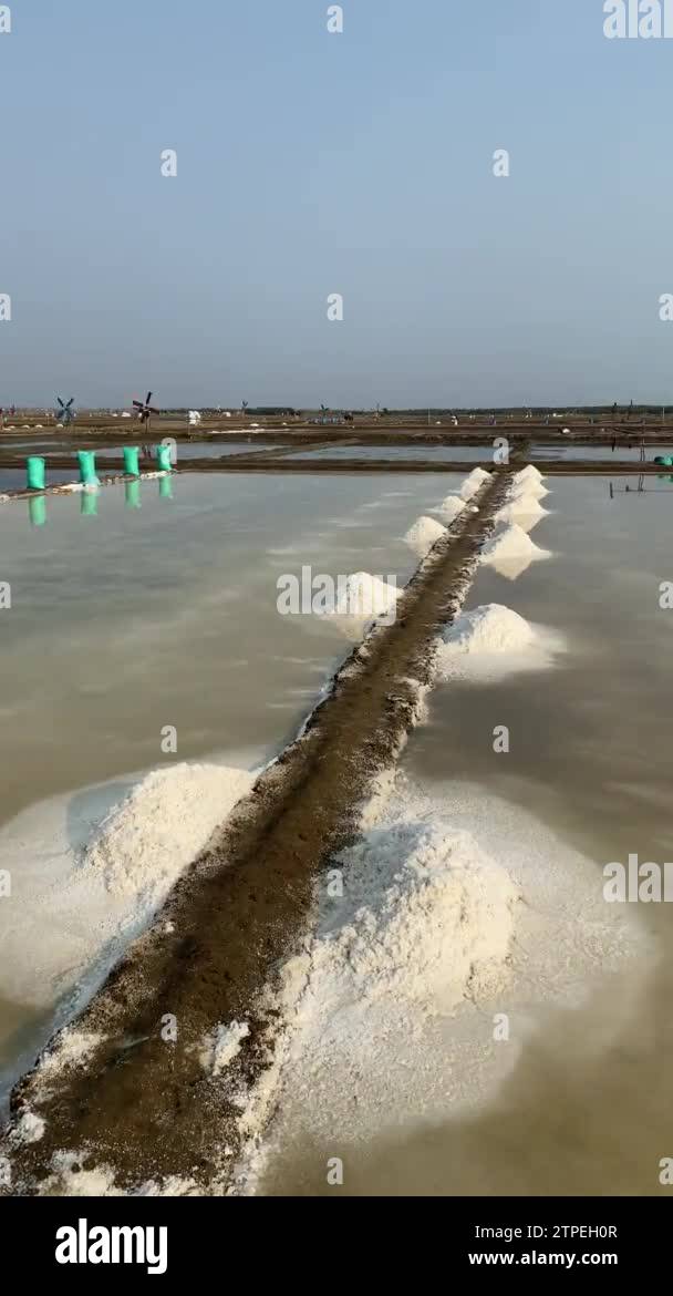 Sea salt field or traditional farm of salt in cirebon indonesia Stock ...