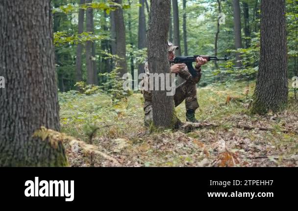 Using trees Stock Videos & Footage - HD and 4K Video Clips - Alamy