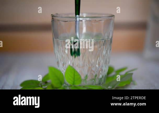 Freshness symbol Stock Videos & Footage - HD and 4K Video Clips - Alamy