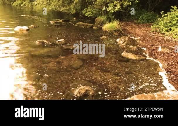Sepia river Stock Videos & Footage - HD and 4K Video Clips - Alamy
