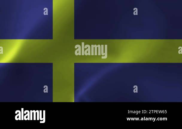 flag animation for background in 4k. Happy independence day national ...