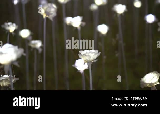 Seoul, South Korea - June, 2016: Dongdaemun Design Plaza DDP ...