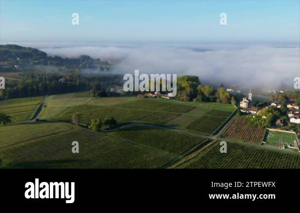 FRANCE, GIRONDE, LOUPIAC, AERIAL VIEW LOUPIAC VILLAGE AND ITS VINEYARD ...