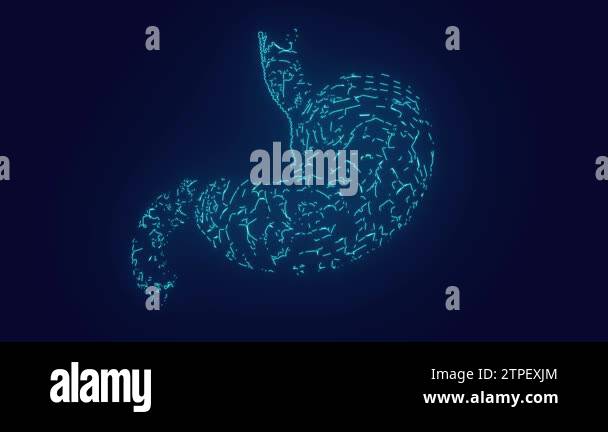 human body organ stomach human anatomy futuristic animation Stock Video ...