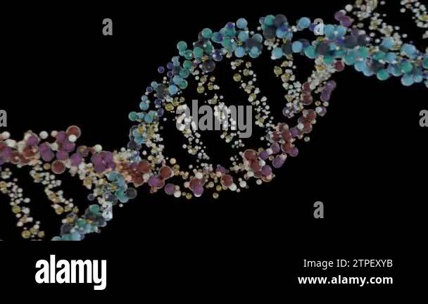 Animated DNA chain model. 3D rendering Stock Video Footage - Alamy