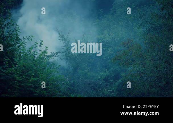 Fire smoking Stock Videos & Footage - HD and 4K Video Clips - Alamy