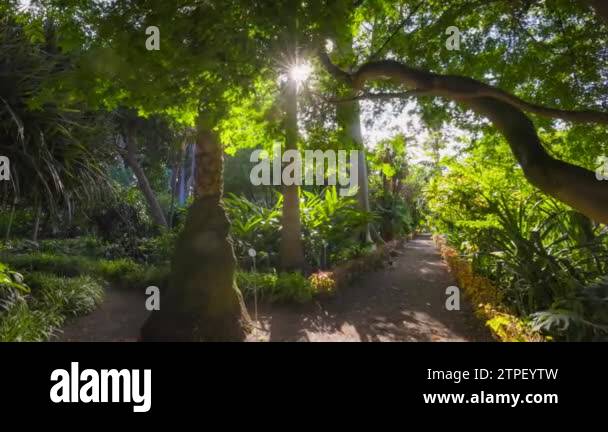 Magnificent nature of the Canary Islands, Spain. Sun breaks through the ...