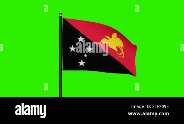 3D Rendered Papua New Guinea National Flag Waving Animation with ...