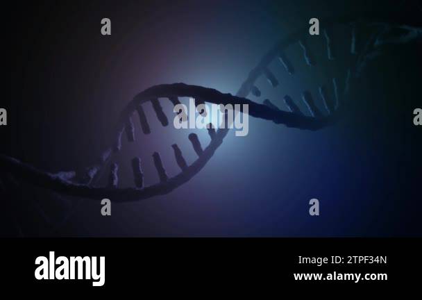 Animated DNA chain model. 3D rendering Stock Video Footage - Alamy