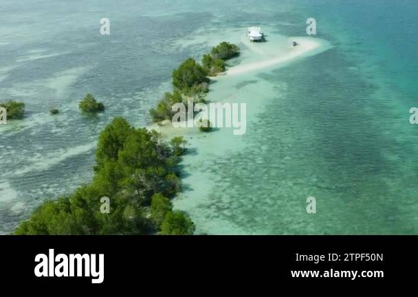 Ocean waves and mangroves in Vanishing Island. Samal, Davao ...