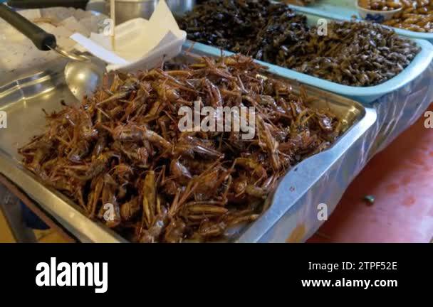 Different types of Cooked insects on a plate at food market. Asia ...