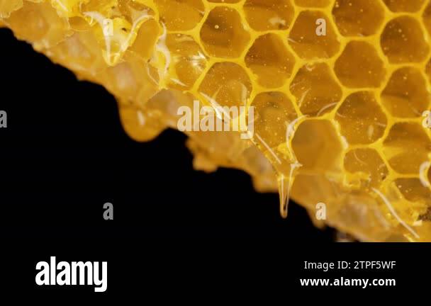 Raw honeycombs with pouring pure golden honey elixir. Amazing tasty ...