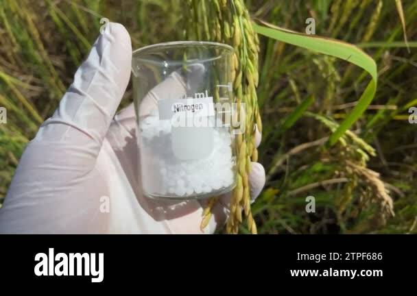 Nitrogen fertilizer plant Stock Videos & Footage - HD and 4K Video ...