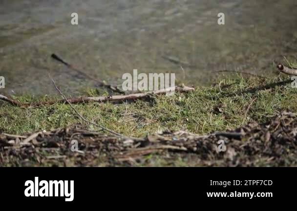 At the riverside ground Stock Videos & Footage - HD and 4K Video Clips ...