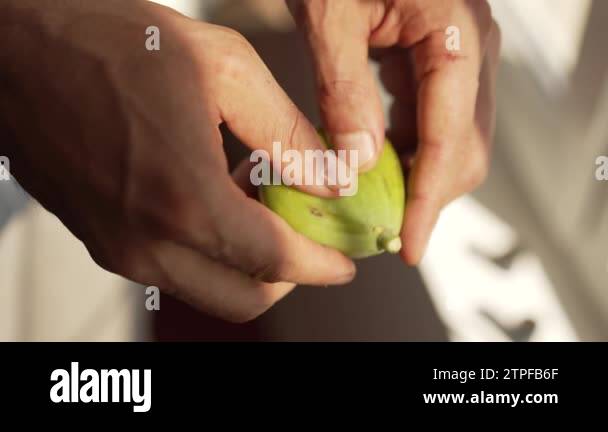 Man fig Stock Videos & Footage - HD and 4K Video Clips - Alamy