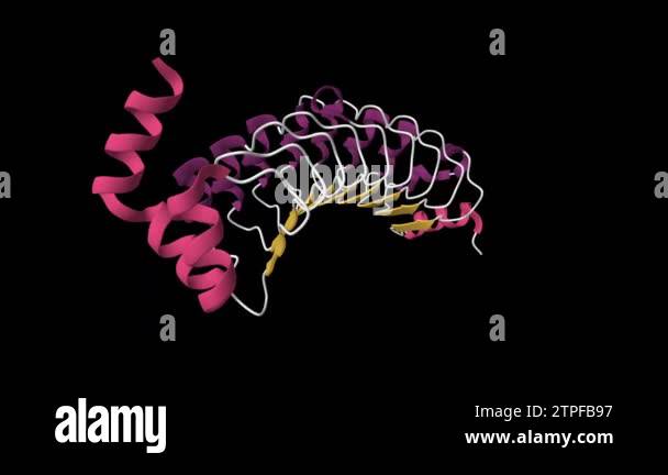 Crystal structure of Ras suppressor-1. Animated 3D cartoon model ...