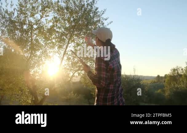 Woman gardener inspecting trees with technological device in big ...