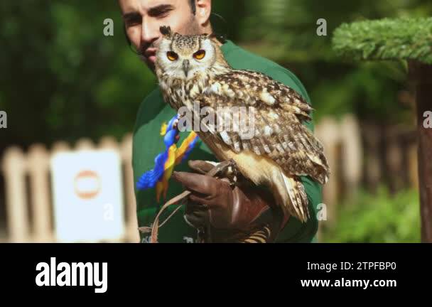 Zoo worker Stock Videos & Footage - HD and 4K Video Clips - Alamy