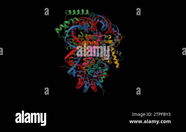 Structure of human Sox2 (light brown) transcription factor in complex ...