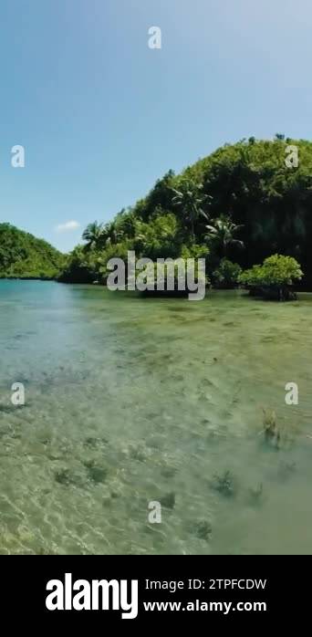 Tinago Island with mangroves and greenish lagoons. Tagana-an. Surigao ...