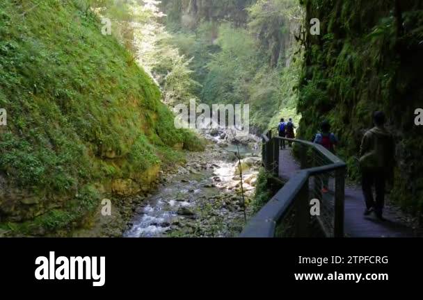 Basques country Stock Videos & Footage - HD and 4K Video Clips - Alamy