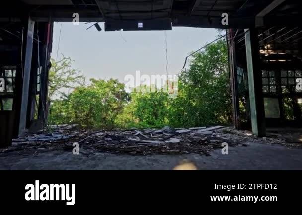 The decaying architecture opens to reveal a mesmerizing tableau of lush ...