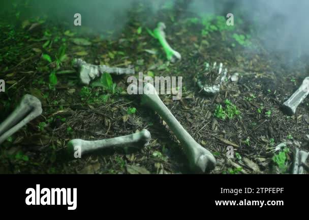 Human skeletal remains Stock Videos & Footage - HD and 4K Video Clips ...