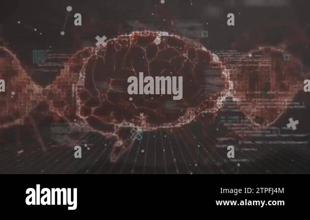 Animation of human digital brain and computer language with dots over black background ...