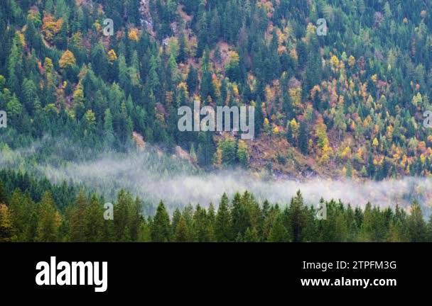 Greenland and italy Stock Videos & Footage - HD and 4K Video Clips - Alamy