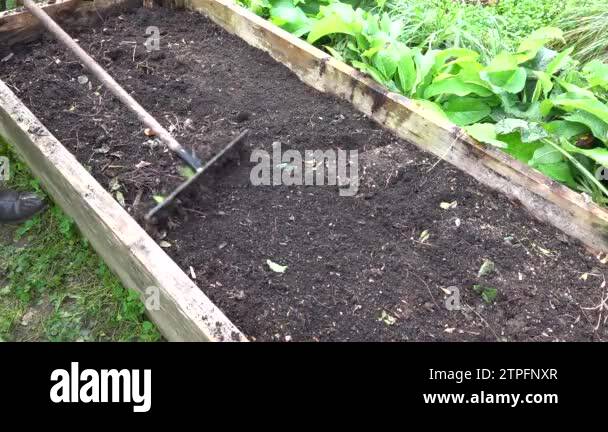 Clean garden soil Stock Videos & Footage - HD and 4K Video Clips - Alamy