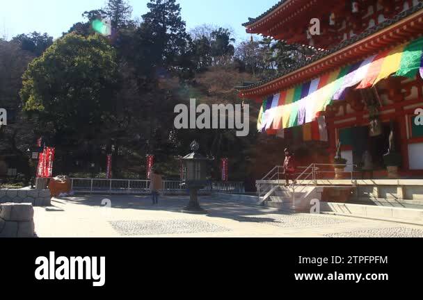 Tower right side at Kongouji temple in Tokyo right panning deep focus ...