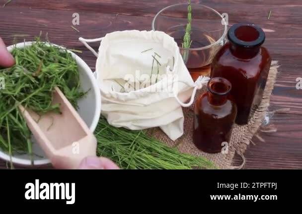 The herbalist pours dry horsetail grass into a mortar to prepare a ...