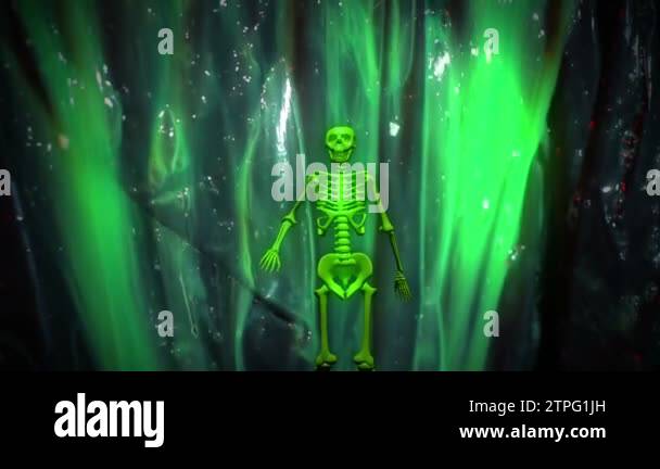 Camera and an skeleton Stock Videos & Footage - HD and 4K Video Clips ...